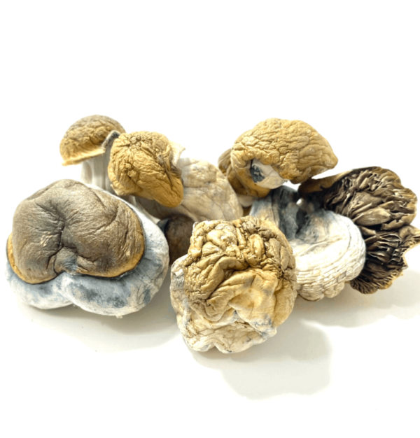 Home | Weeds Courriers | Vancouver Cannabis Store